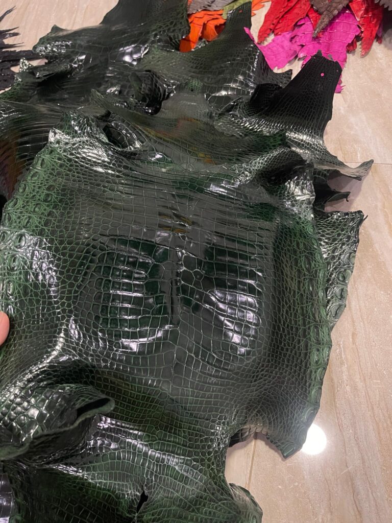 Glazed Green Crocodile Belly Skin - premiumexoticleather.com