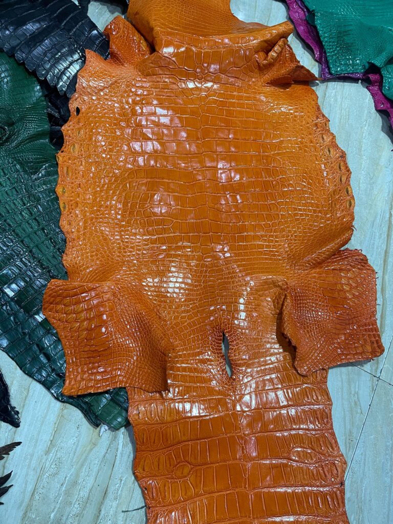Orange Blue Crocodile Belly Skin - premiumexoticleather.com
