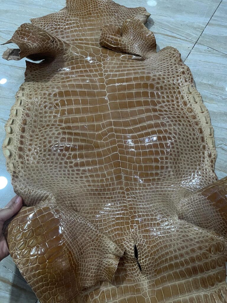 Glazed Brown Crocodile Belly Skin - premiumexoticleather.com
