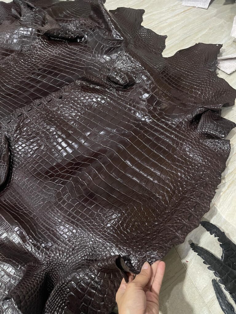Brown Crocodile Belly Skin - premiumexoticleather.com