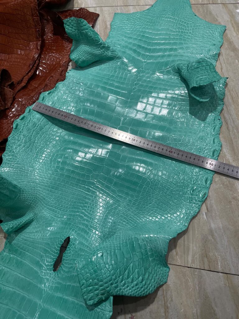 Tiffany Blue Crocodile Belly Skin - premiumexoticleather.com